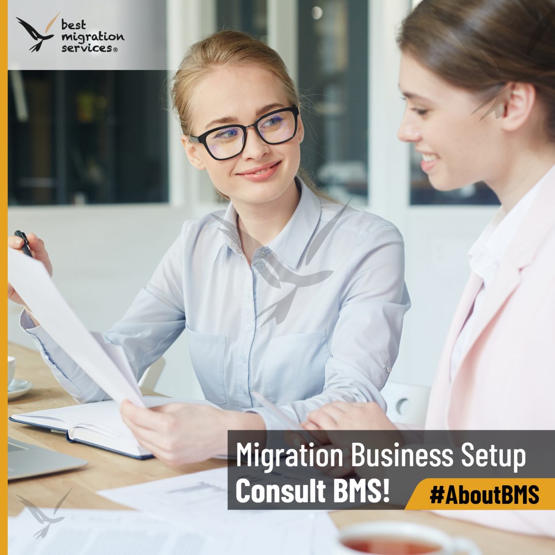 How BMS can help you with your Australian Migration Consultancy ...